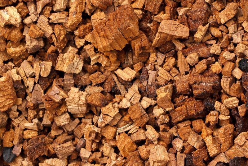 Wet Crumbling Wood Close-up. a Wooden Surface that is in the Water for ...