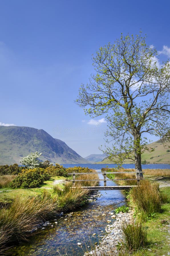 Lone Running Tree Water Stock Photos - Free & Royalty-Free Stock Photos ...