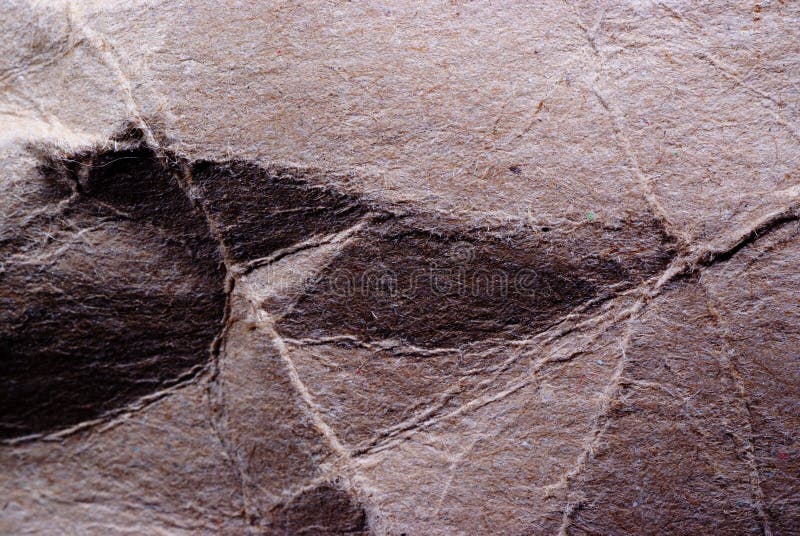 Crumple Paper Texture Macro Stock Photo - Image of closeup, scratch ...