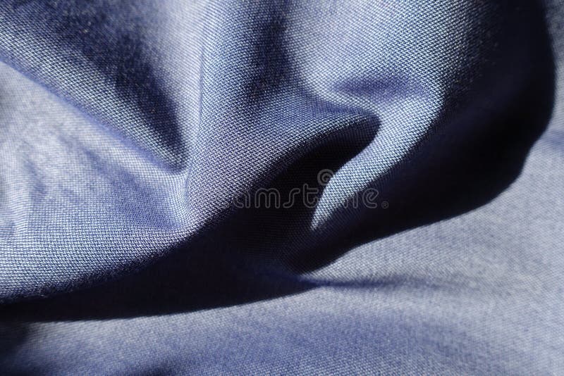 Violet and Blue Flowers of Prostrate Speedwell Stock Image - Image of ...