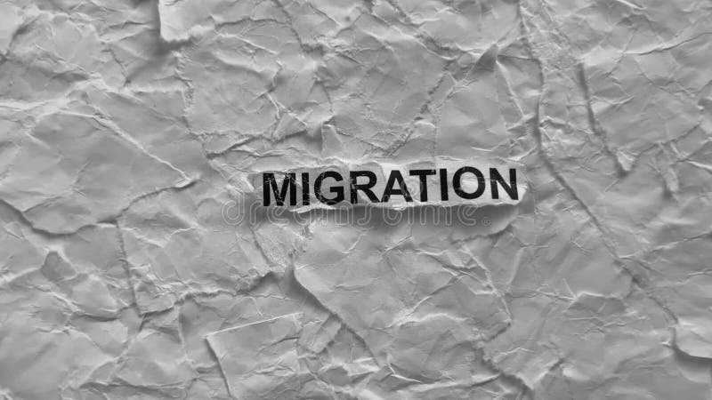 Crumpled Piece of Paper with Word Migration on Torn White Paper Pieces ...