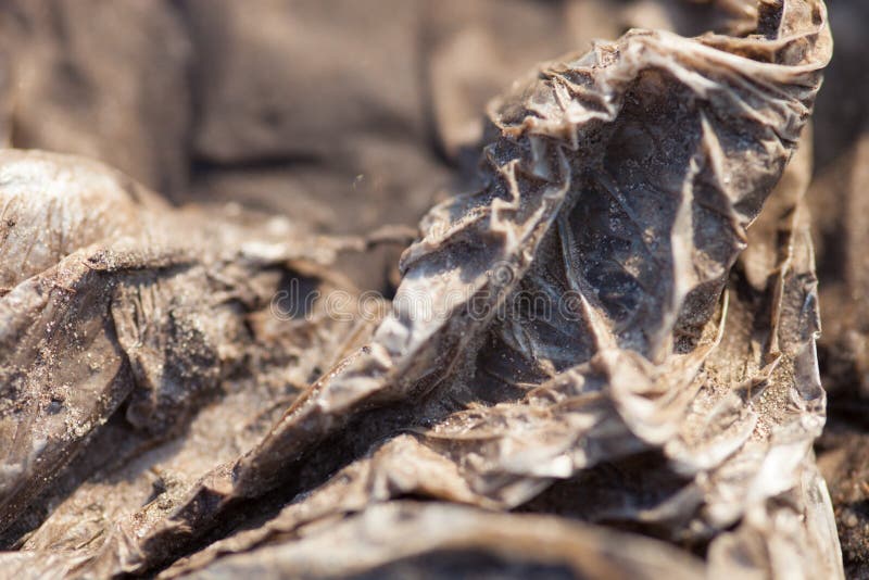 Crumpled Polythene in the Sand Stock Photo - Image of grungy, coast ...