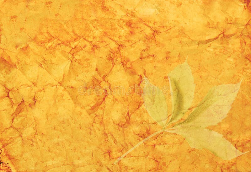 Crumpled And Stained Old Paper Picture. Image: 6925717