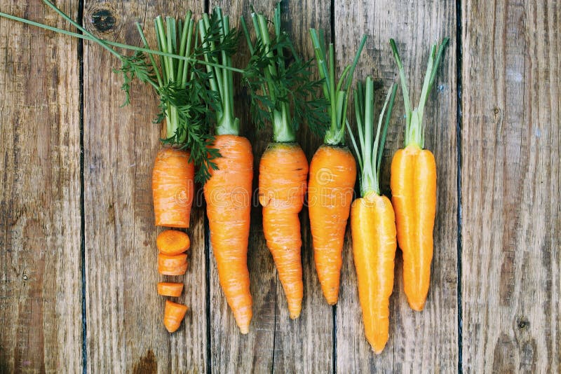 Crunchy carrots, top view stock image. Image of close - 56927771