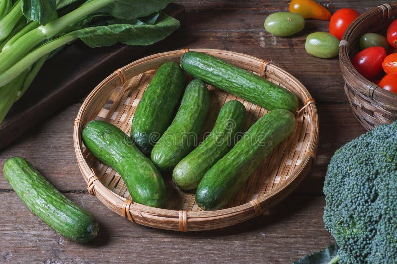Crunchy mini cucumber stock image. Image of cucumber - 276896721