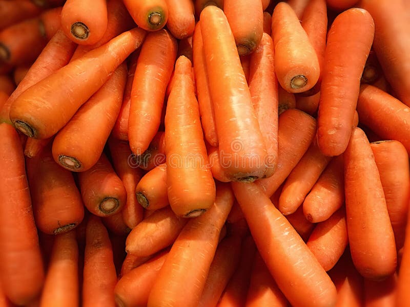 Crunchy, Tasty and Highly Nutritious Carrots Stock Image - Image of ...