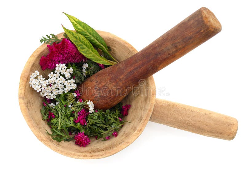 Crushed Amaranth and Yarrow Stock Photo - Image of crushed, medicine ...