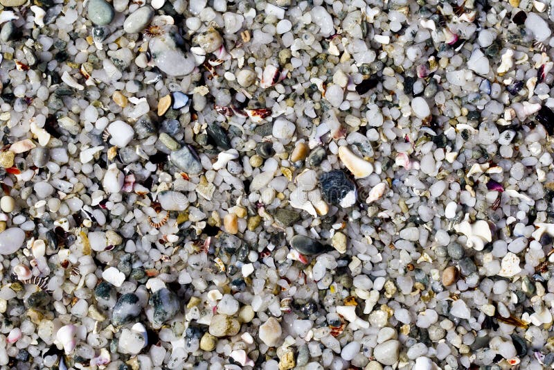 Crushed Beach Stones and Shells Stock Photo - Image of pattern, color ...