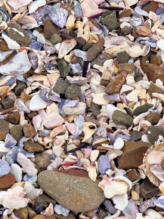 Crushed and Broken Shells and Pebbles Stock Photo - Image of abstract ...