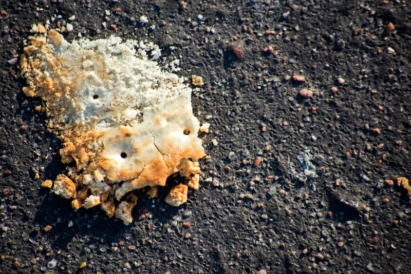 Crushed cookie on asphalt stock photo. Image of cake - 133323056