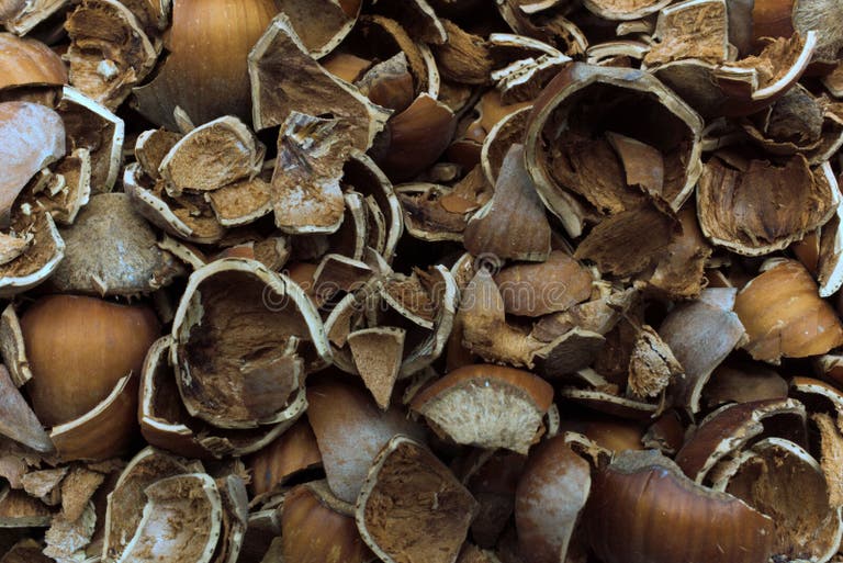 Crushed Hazelnut Shells Close Up. Stock Photo - Image of crushed ...