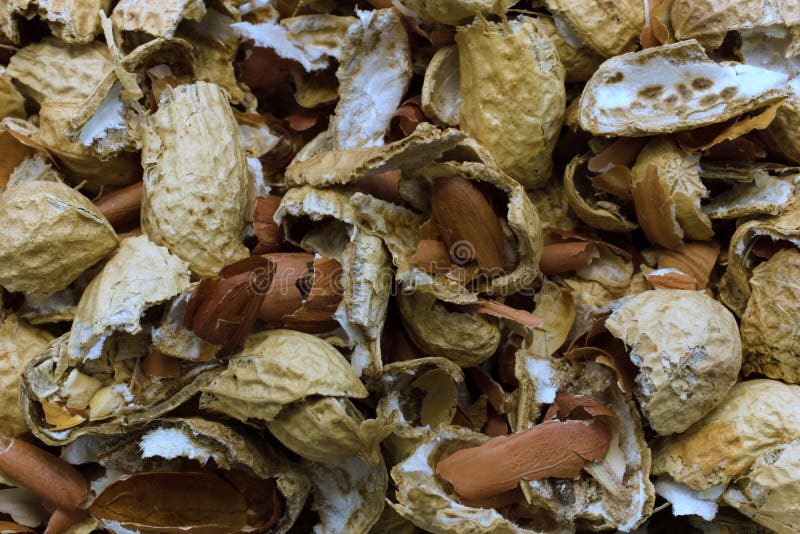Crushed Peanut (goober, Monkey) Shells Close Up. Stock Photo - Image of ...