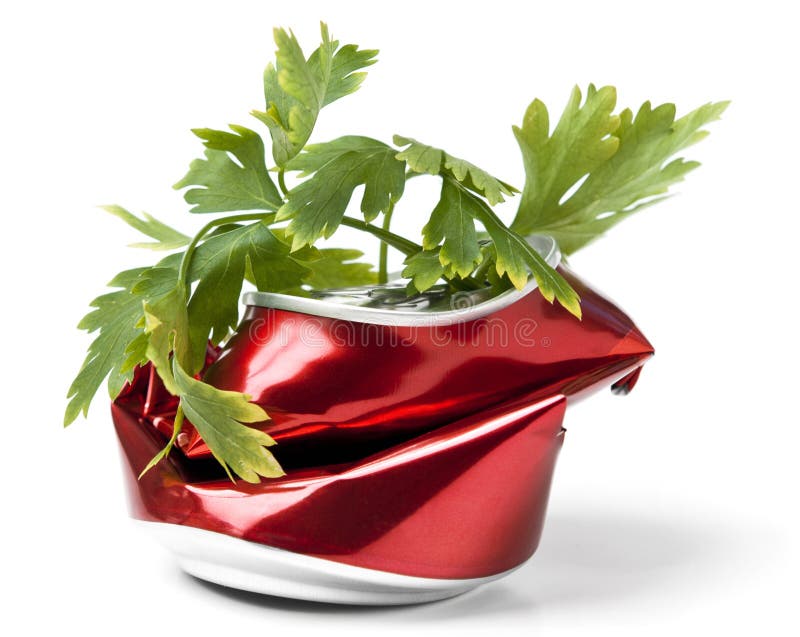 Crushed recycled soda can stock photo. Image of crushed - 14790136