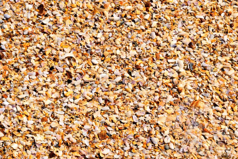 Crushed seashells stock image. Image of rounded, close - 21122237