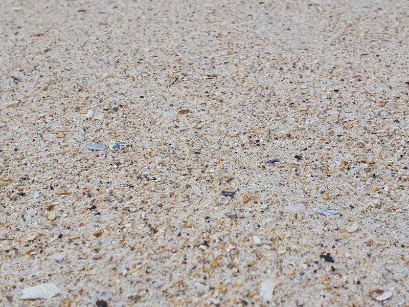 Crushed Shells stock photo. Image of geology, shells - 182334034