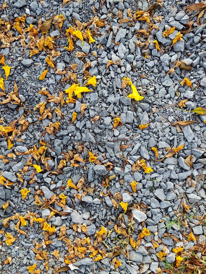 Crushed Stone Floor Texture Outdoor Stock Image - Image of closeup ...