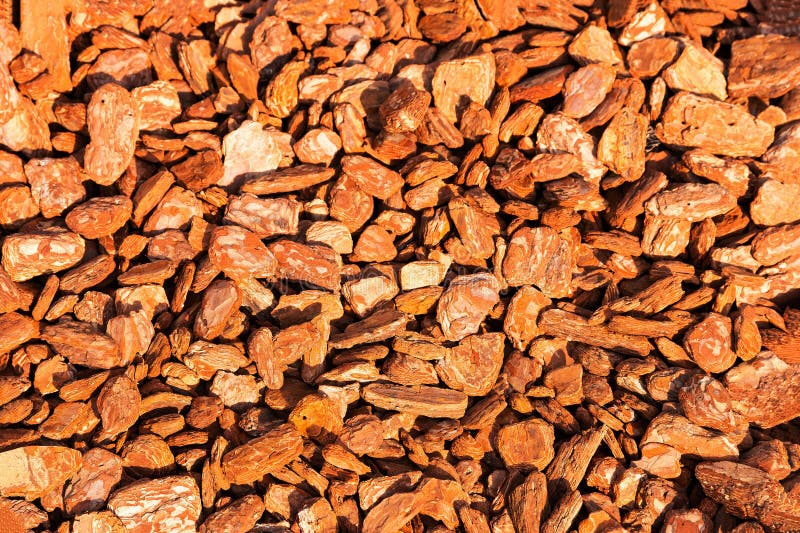 Crushed Tree Bark. Background Stock Image - Image of firewood, natural ...