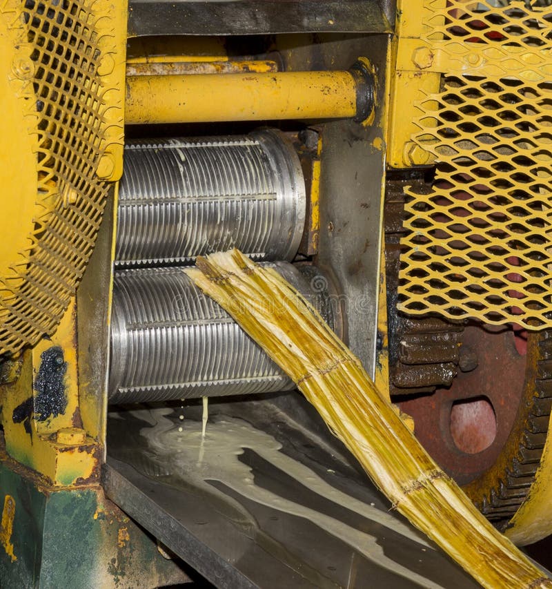 Crushing sugar cane stock image. Image of drink, sugarcane - 147885885