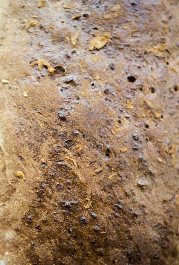 A Crust of Bread Close-up. the Texture of the Crust of Bread. Vertical ...