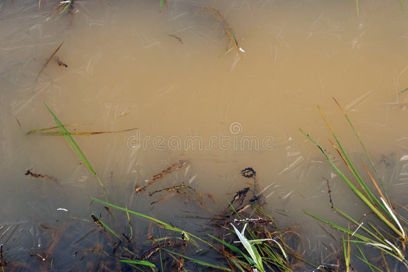 Crust of ice and rime stock image. Image of darkness - 78524847