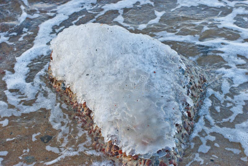 Crust of Ice on a Stone, a Close Up. Stock Photo - Image of hard ...