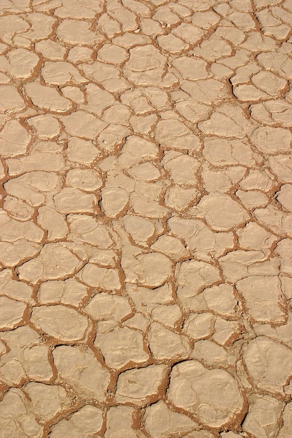 Crusted earth stock photo. Image of layer, dried, salt - 21254996