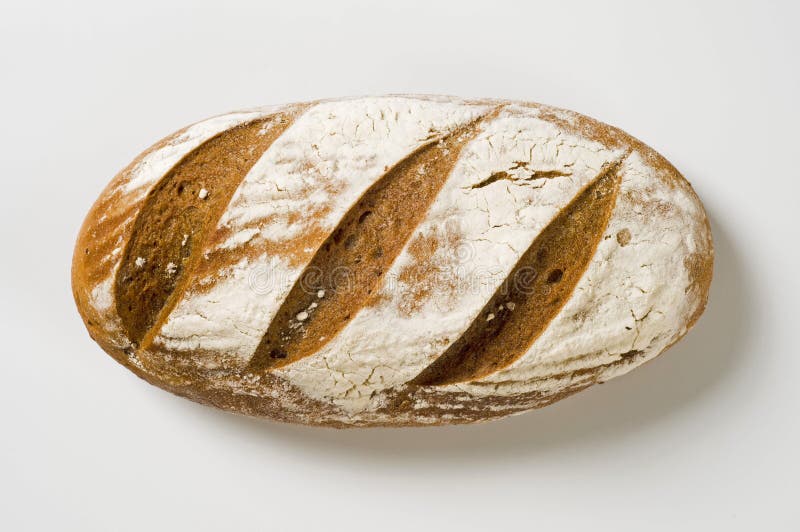 Fresh crusty bread stock photo. Image of studio, fresh - 10602422