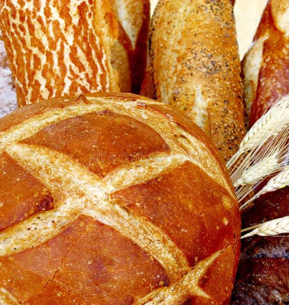 Crusty French Bread stock photo. Image of group, harvest - 5392696