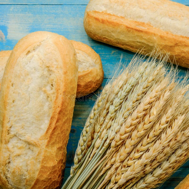 Crusty Fresh White Bread Rolls Stock Image - Image of flat, living ...
