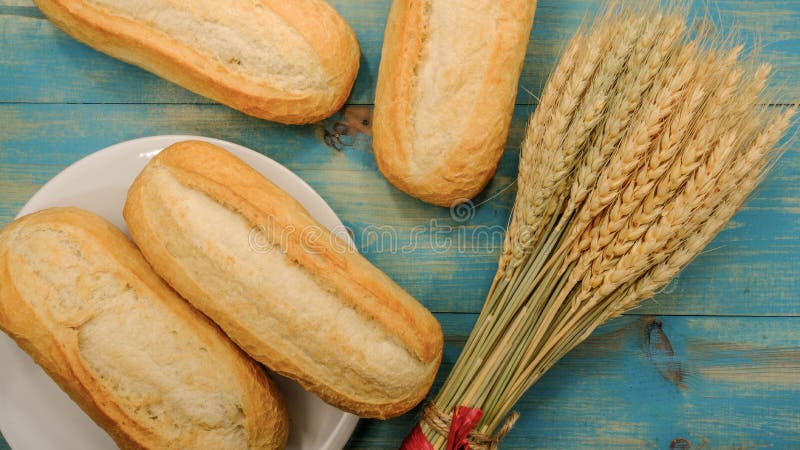 Crusty Fresh White Bread Rolls Stock Image - Image of dried, fresh ...