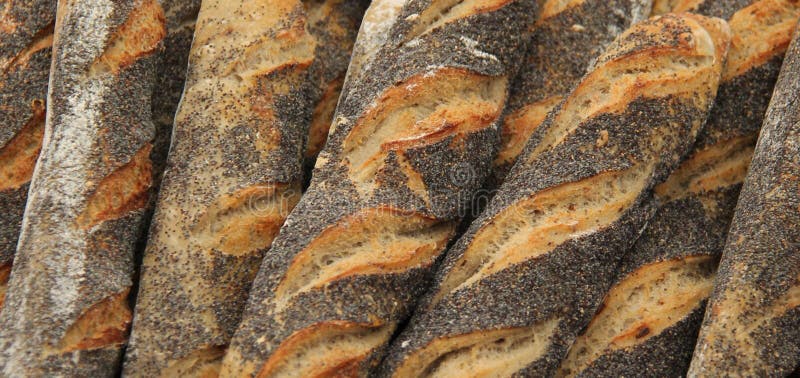 A Crusty Stick of Homemade, Organic White French Bread, or Baguette, on ...