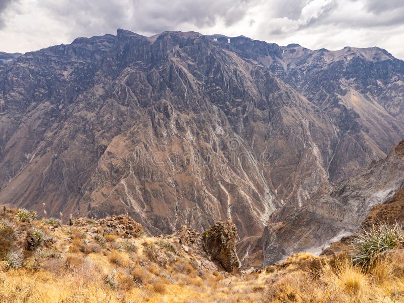 Cruz Del Condor, Colca Canyon, Peru Stock Image - Image of panorama ...