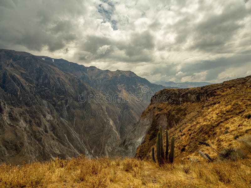 Cruz Del Condor, Colca Canyon, Peru Stock Image - Image of colca ...