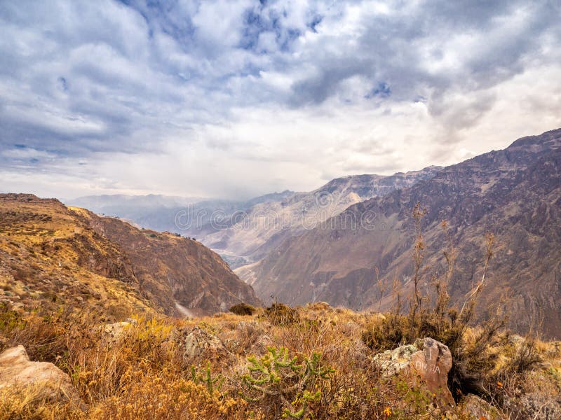 Cruz Del Condor, Colca Canyon, Peru Stock Photo - Image of hiking, cruz ...