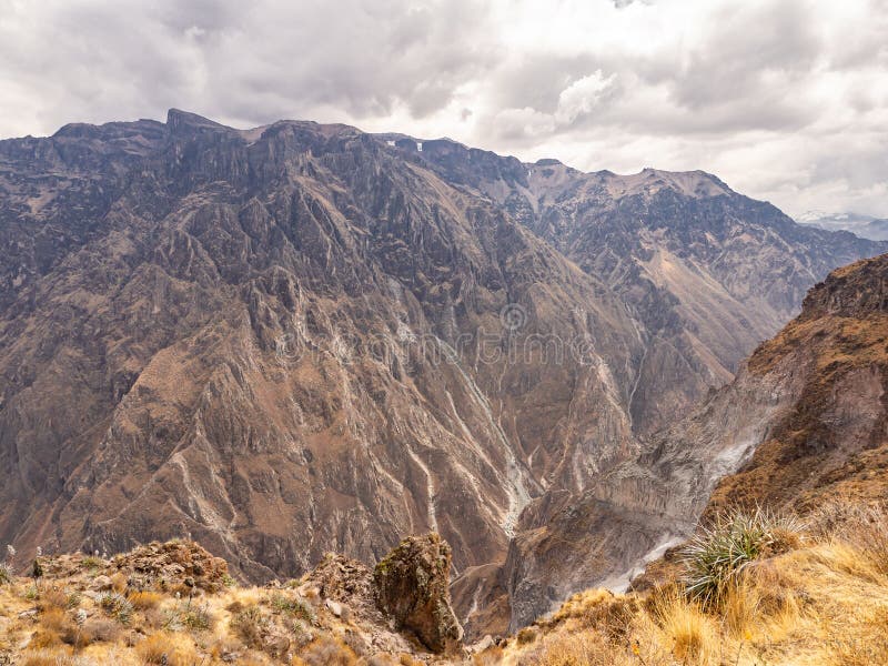 Cruz Del Condor Colca Canyon Peru Foto de archivo - Imagen de cara ...