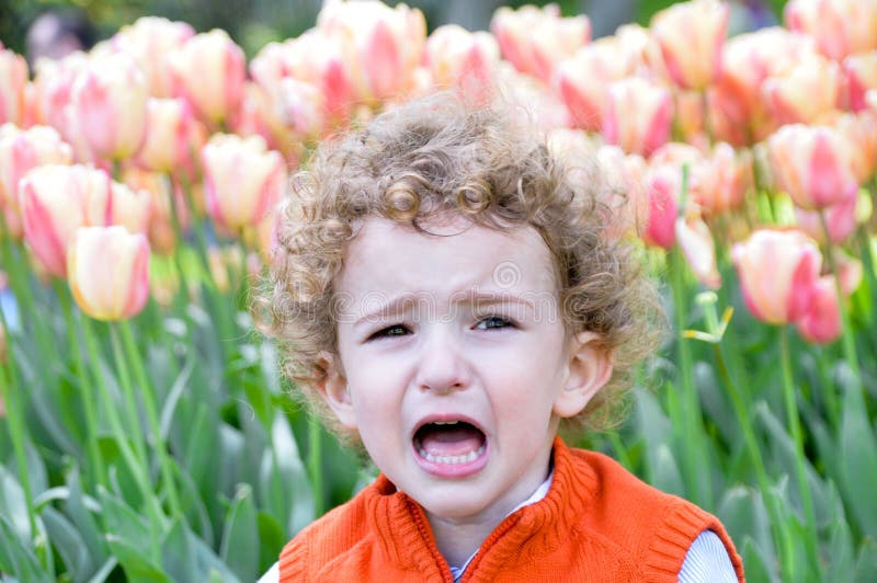Crying child stock photo. Image of childhood, clothing - 50071500