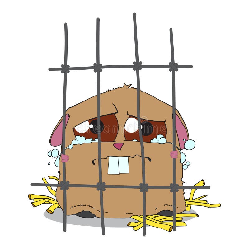Hamster in cage stock illustration. Illustration of friend - 18213746
