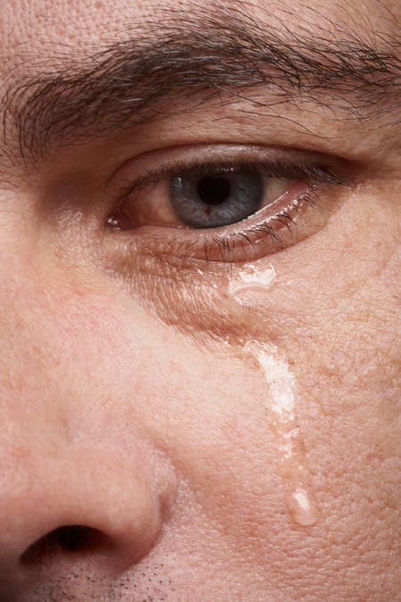Crying man stock image. Image of expression, grieve, hopeless - 29514673