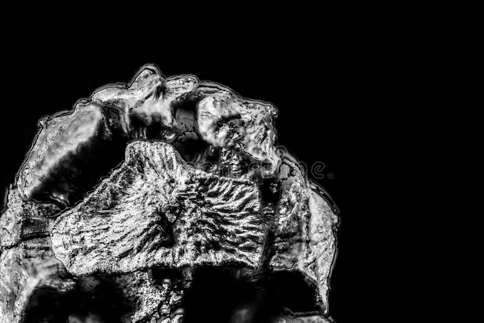 Crying Nut Face stock image. Image of black, dead, emotion - 125543433