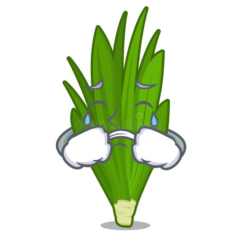 Pandanus Plant Stock Illustrations – 115 Pandanus Plant Stock ...
