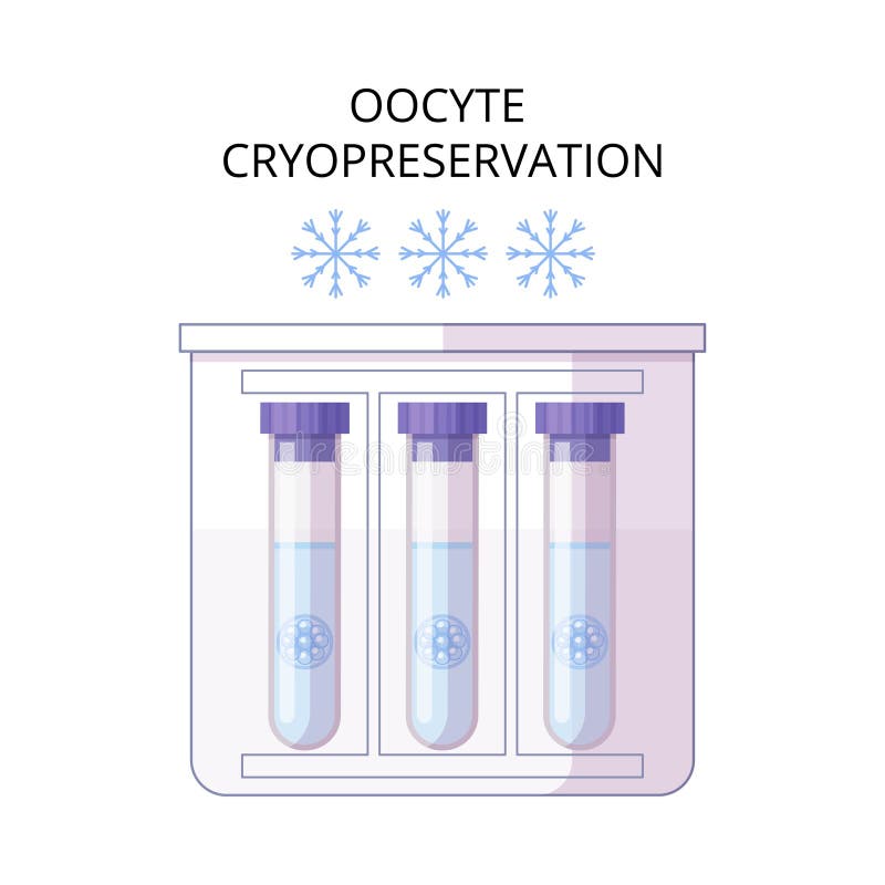 Cryogenic Preservation Flat Composition Stock Vector - Illustration of ...
