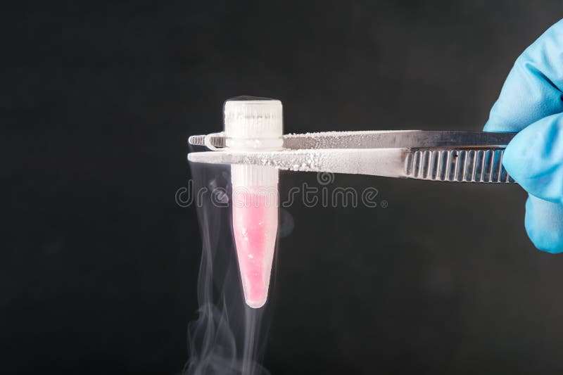 Cryotube with Cell Suspension Stock Photo - Image of cryogenic ...