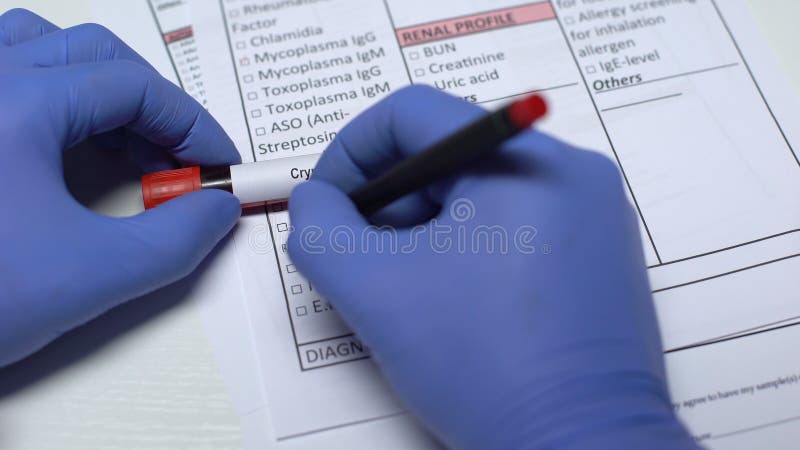 Cryptococcus, Doctor Checking Disease in Lab Blank, Showing Blood ...
