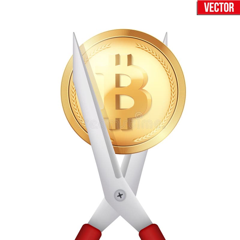 Cryptocurrency Bitcoin Separation Stock Vector - Illustration of ...