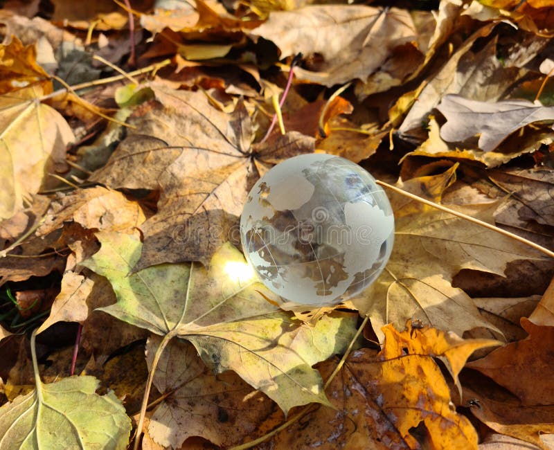 Crystal Ball Lies in Autumn Forest Stock Image - Image of environmental ...