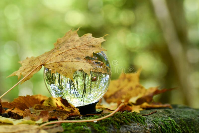 A crystal ball in nature stock photo. Image of texture - 256016176