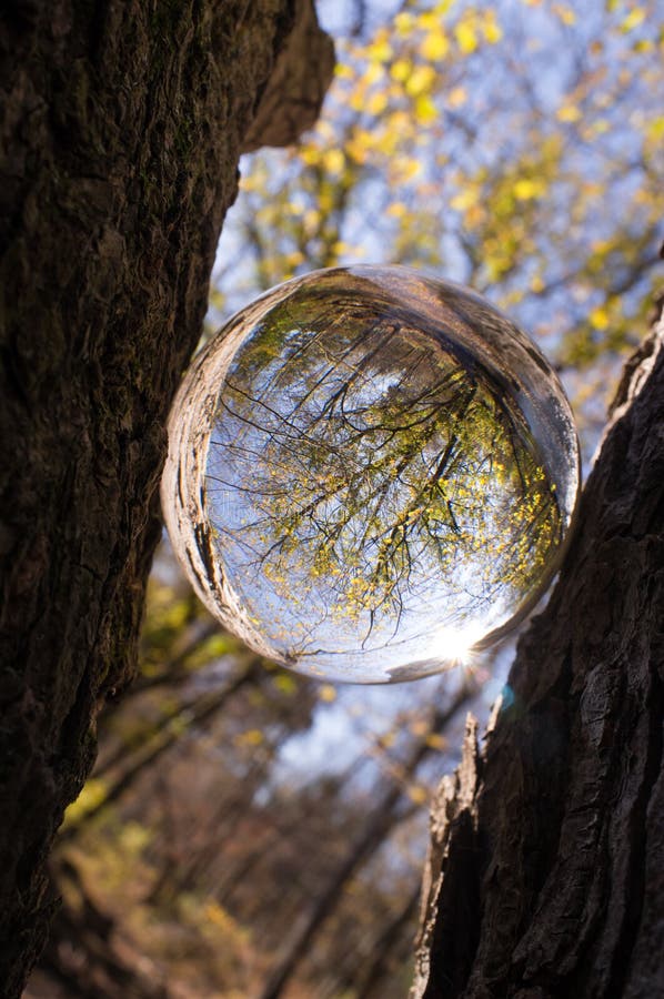 Crystal Ball Nature stock photo. Image of prophecy, crystal - 81417672
