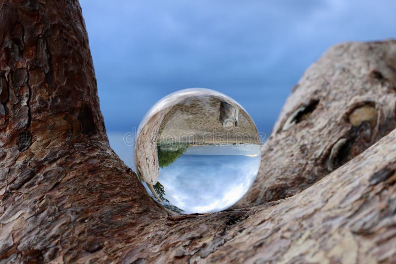 Crystal ball on tree stock photo. Image of seaside, concept - 250372120