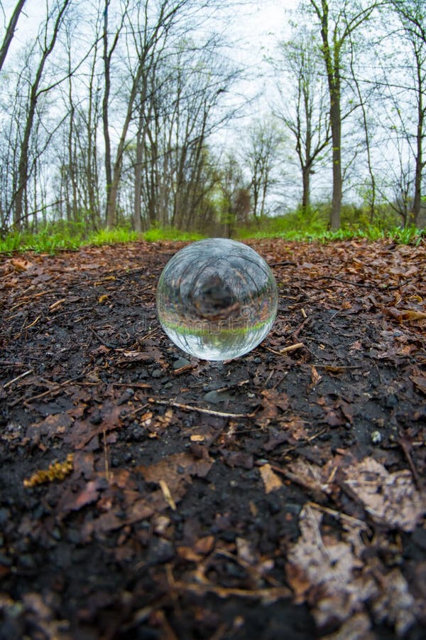 Crystal Ball Woods stock image. Image of crystal, spring - 99901643