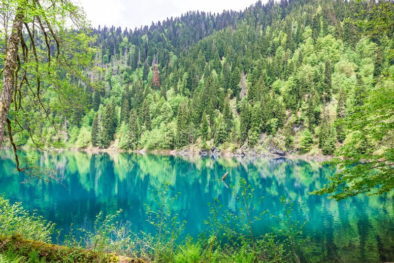 The Crystal Blue Lake in the Mountains Stock Photo - Image of alaska ...